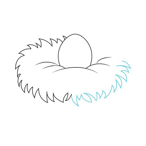 Draw Birds Nest