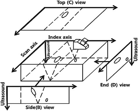 Scanning Views Of A B C D Scan Download Scientific Diagram