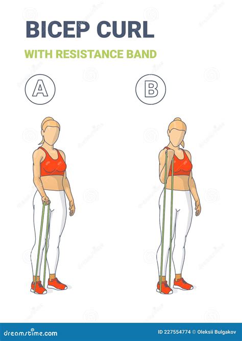Resistance Band Bicep Curl Stock Illustrations 13 Resistance Band