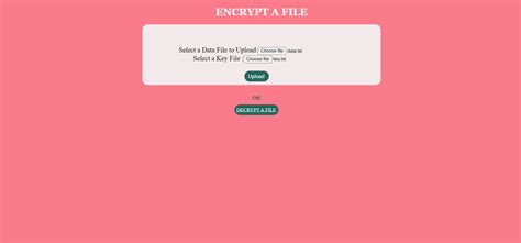 GitHub BhumikaBekal FileSafety