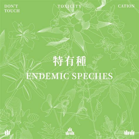 Toxicity Plant Instagram Portaly