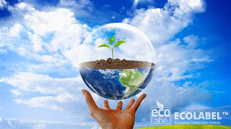 Etichetta Ecologica