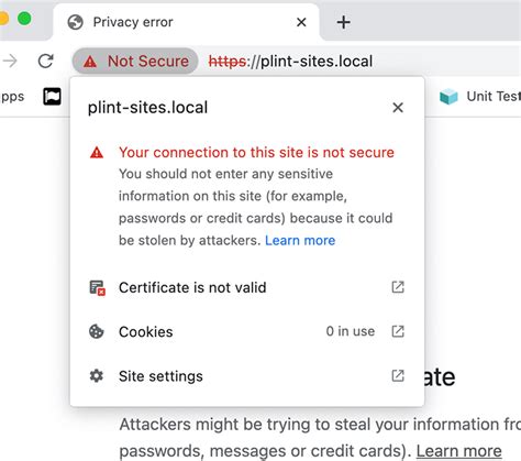 Ssl Certificates For Local Laravel And Vue Development Plint Talk