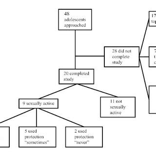 Flow Diagram Of Sampling Frame And Number Of Asian American Adolescents Download Scientific
