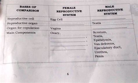 Solved Complete The Table Below To Show The Difference Between Male