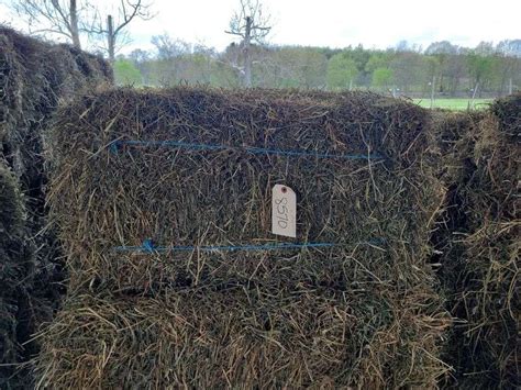 15 2nd Alfalfa Orchard Grass Mix Rogers Community Auction Inc