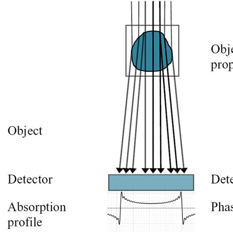 Differences In The Detector Response Through The Use Of Propagation