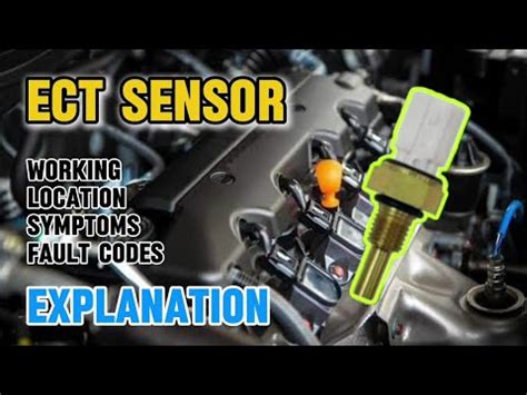Ect Sensor Working Location Symptoms Fault Codes Youtube