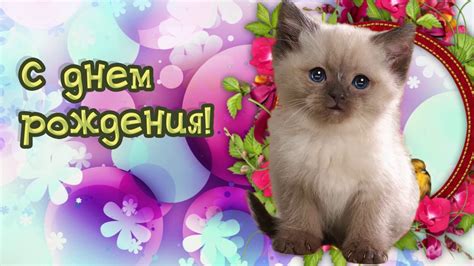 Фото С Днем Рождения С Котятами – Telegraph