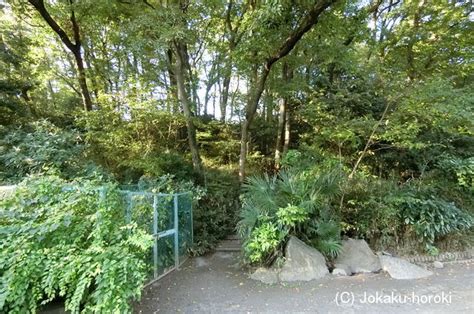 武蔵 赤塚城の写真集 城郭放浪記