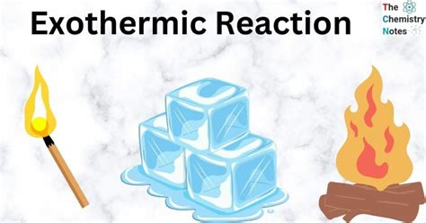 Exothermic Reactions With Important Examples