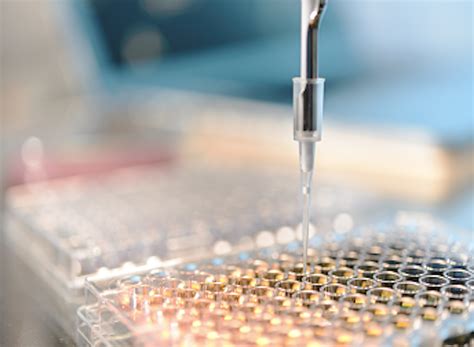 Scip Database Sgs Belgium