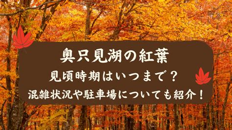 奥只見湖の紅葉2024の見頃時期はいつまで混雑状況や駐車場についても紹介happy life