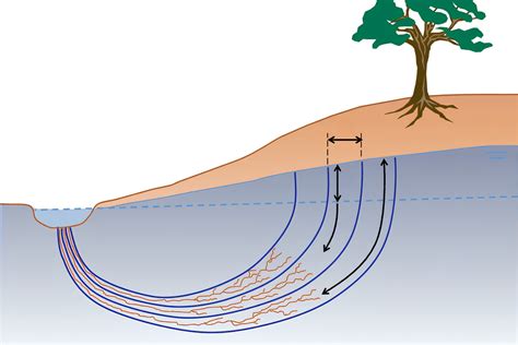 17 Fascinating Facts About Darcy Wretzky