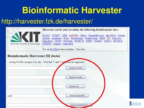 ppt modeling functional genomics datasets cvm8890 101 powerpoint