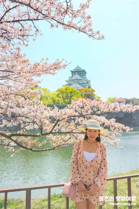 오사카 여행 벚꽃 명소 일본 벚꽃여행 개화시기 비행기표 네이버 블로그