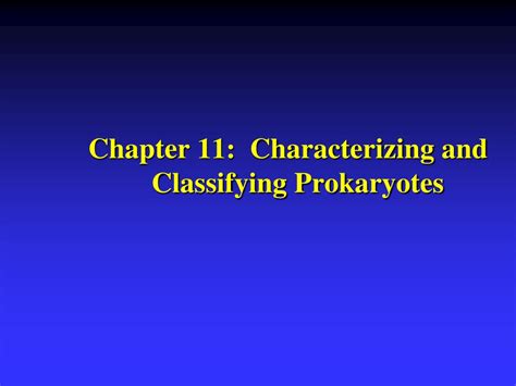 PPT Chapter 11 Characterizing And Classifying Prokaryotes PowerPoint