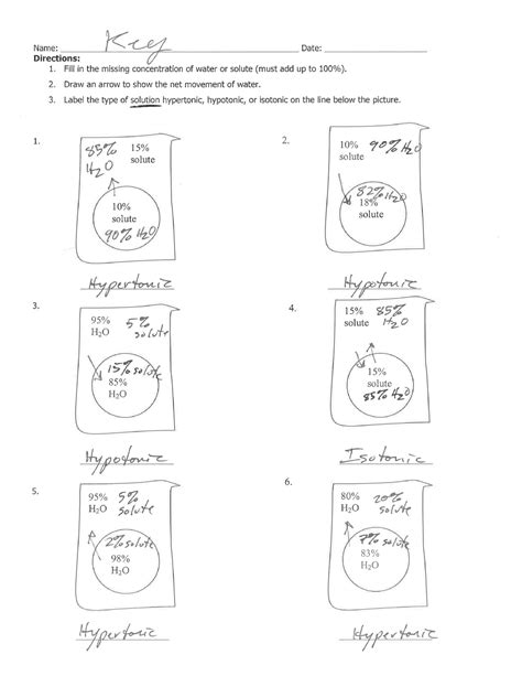 Osmosis Practice Key Foundation Biology Studocu