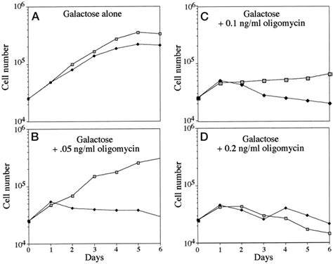 Oligomycin Induces A Decrease In The Cellular Content Of A Pathogenic
