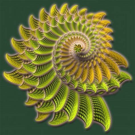 Fractals In Nature Sacred Geometry Meanings Sacred Geometry Patterns Geometry In Nature