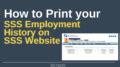 How To Print Your SSS Employment History On SSS Website 2024 SSS Inquiries