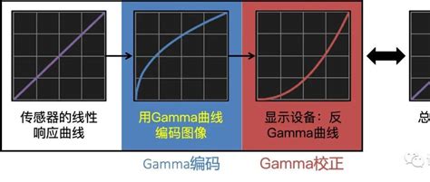 为什么要对图像做gamma校正？如何做？ 编码 显示 亮度
