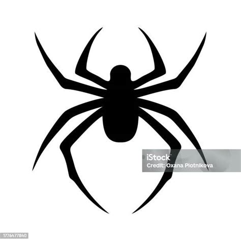 검은 거미 아이콘입니다 흰색 배경에 고립된 거미 실루엣입니다 벡터 일러스트 레이 션 거미에 대한 스톡 벡터 아트 및 기타 이미지