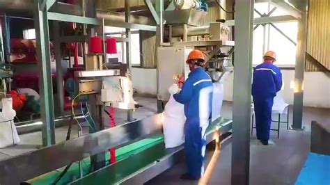 Serena Zhang On Linkedin Packingmachine Palletizer