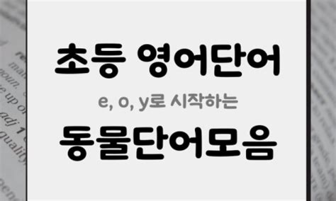 W X로 시작하는 단어 초등영어단어 모음 네이버 블로그