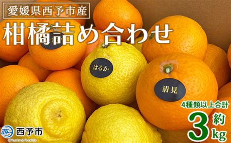 ＜愛媛県西予市産 柑橘詰め合わせ 合計約3kg＞ 果物 フルーツ お任せ おまかせ お楽しみ みかん ミカン 蜜柑 食べ比べ 詰合せ セット