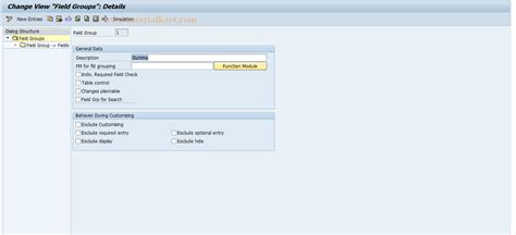 F SI SAP Tcode PAIT Control Field Groups Transaction Code
