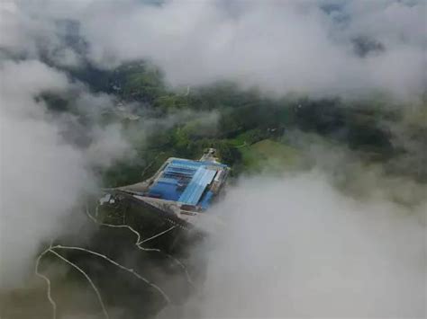 茶旅世界最美茶園參評丨隨州雲峰山萬畝茶園風景區 每日頭條