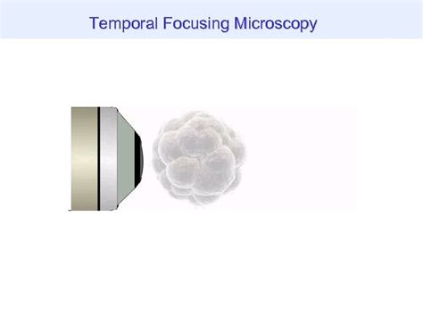 Nonlinear Microscopy And Temporal Focusing Microscopy Y Silberberg