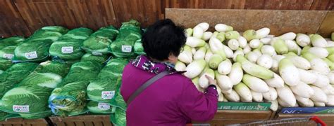 농식품부 배추 무 등 설 성수품 공급 16배 확대온누리상품권 할인율도 상향 파이낸셜뉴스