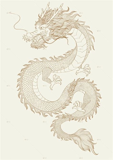 画了条国风龙的线稿｜龙线稿 小红书 花瓣网