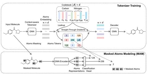 专题解读 多模态模型和图大模型的词元化（tokenization）问题tokenzation Csdn博客