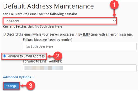 How To Set Up A Catch All CPanel Email Address