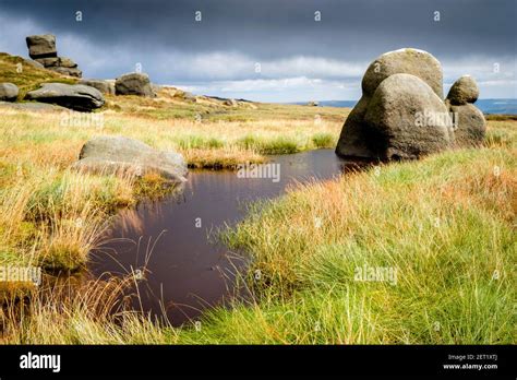 British Bog Peat
