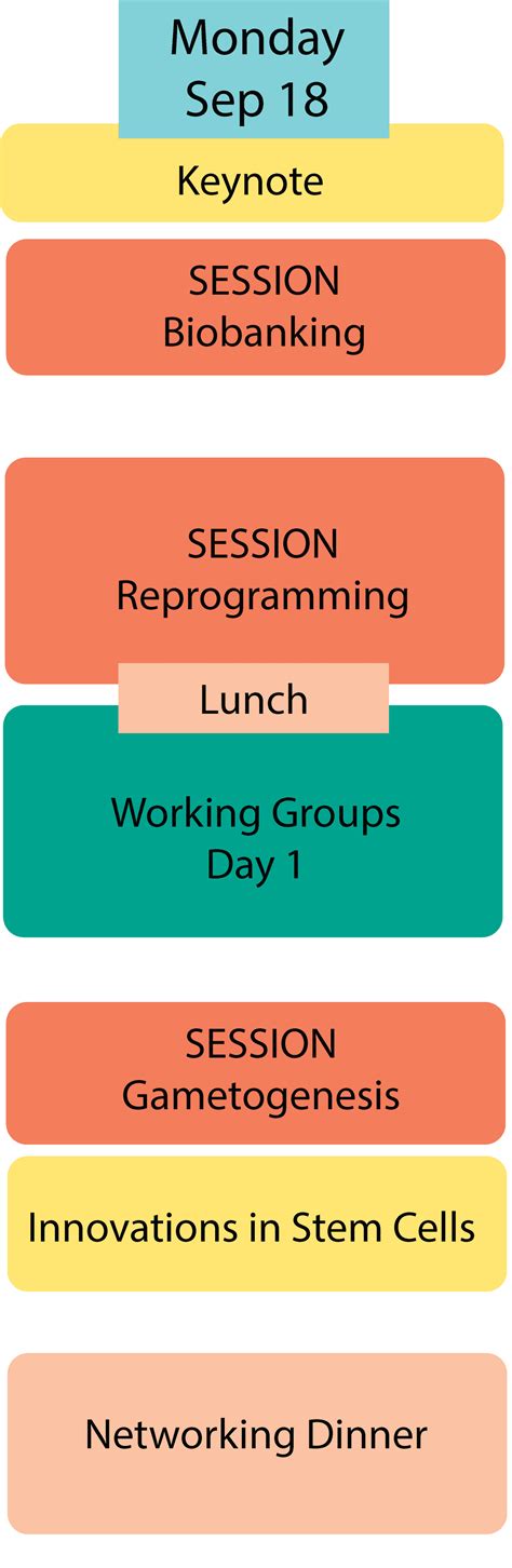 Workshop Schedule Flowchart2 Revive And Restore