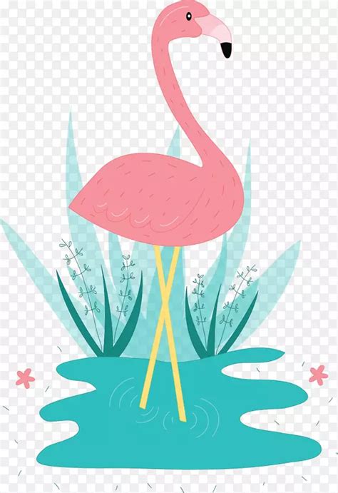 在水塘散步的火烈鸟PNG图片素材下载 图片编号qvwwaawy 免抠素材网