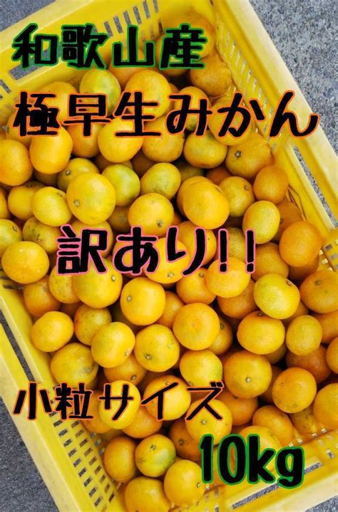 Yahooオークション 訳あり和歌山産 極早生みかん 小玉サイズ 10k