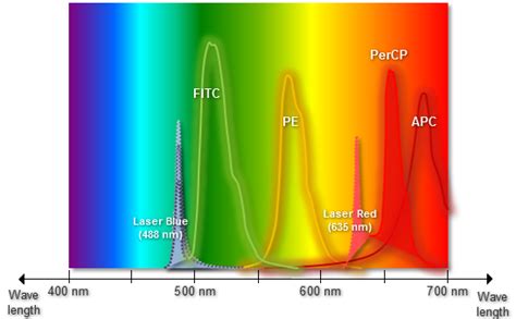 Flow Cytometry Fcm Facs Pe Conjugated Antibody
