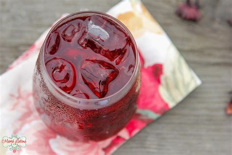 Receta De Agua De Jamaica • Mama Latina Tips