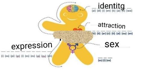 Identify Four Categories That Make Up A Person S Gender Sex And Sexuality Identifique Cuatro