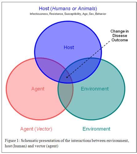 Epidemiology And Etiology