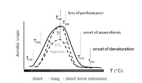Organisms Thermal Windows Optima Limits I And Acclimation Download Scientific Diagram