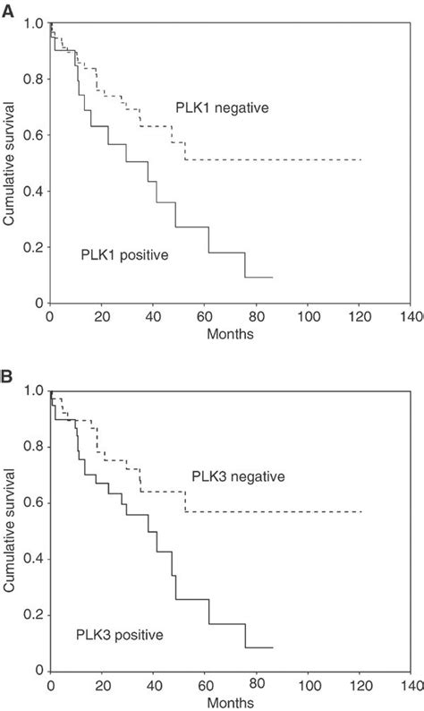 Correlation Between Patient Survival And Expression Of Plk1 Or Plk3