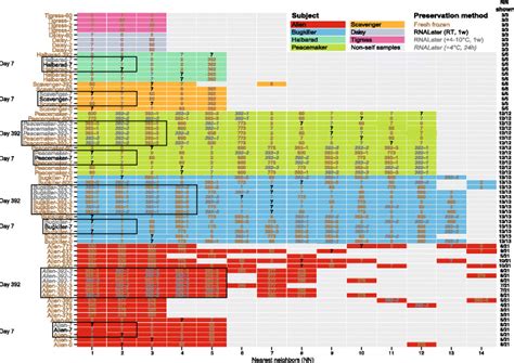 Nearest Neighbor Plot The Motu Abundances Of The Fecal Metagenomes Of