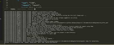 新手如何用 Vscode 调试 Mysql 轻识