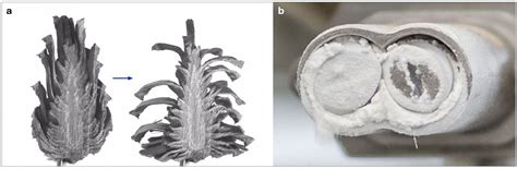 Bioinspired And Biobased 4d Printing For Adaptive Building Facades